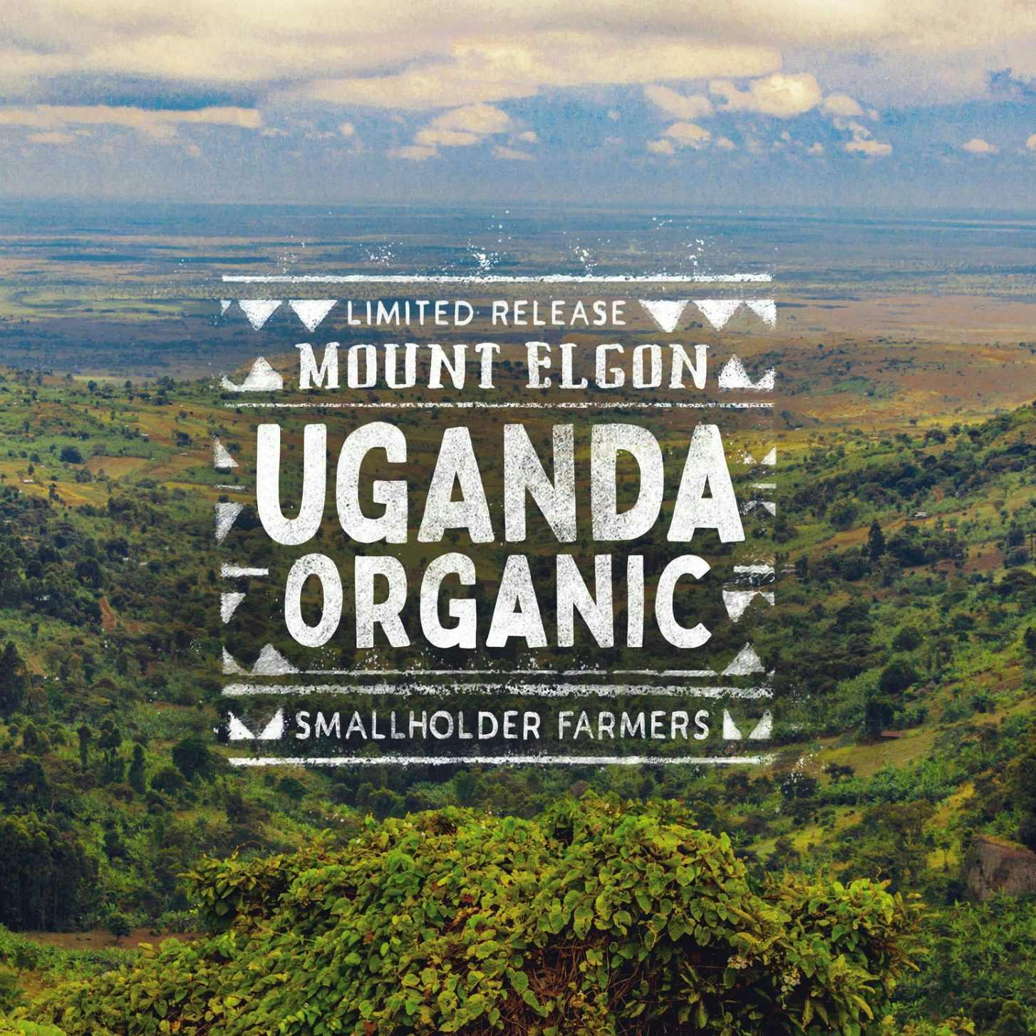 Small Batch Series | Peet's Coffee